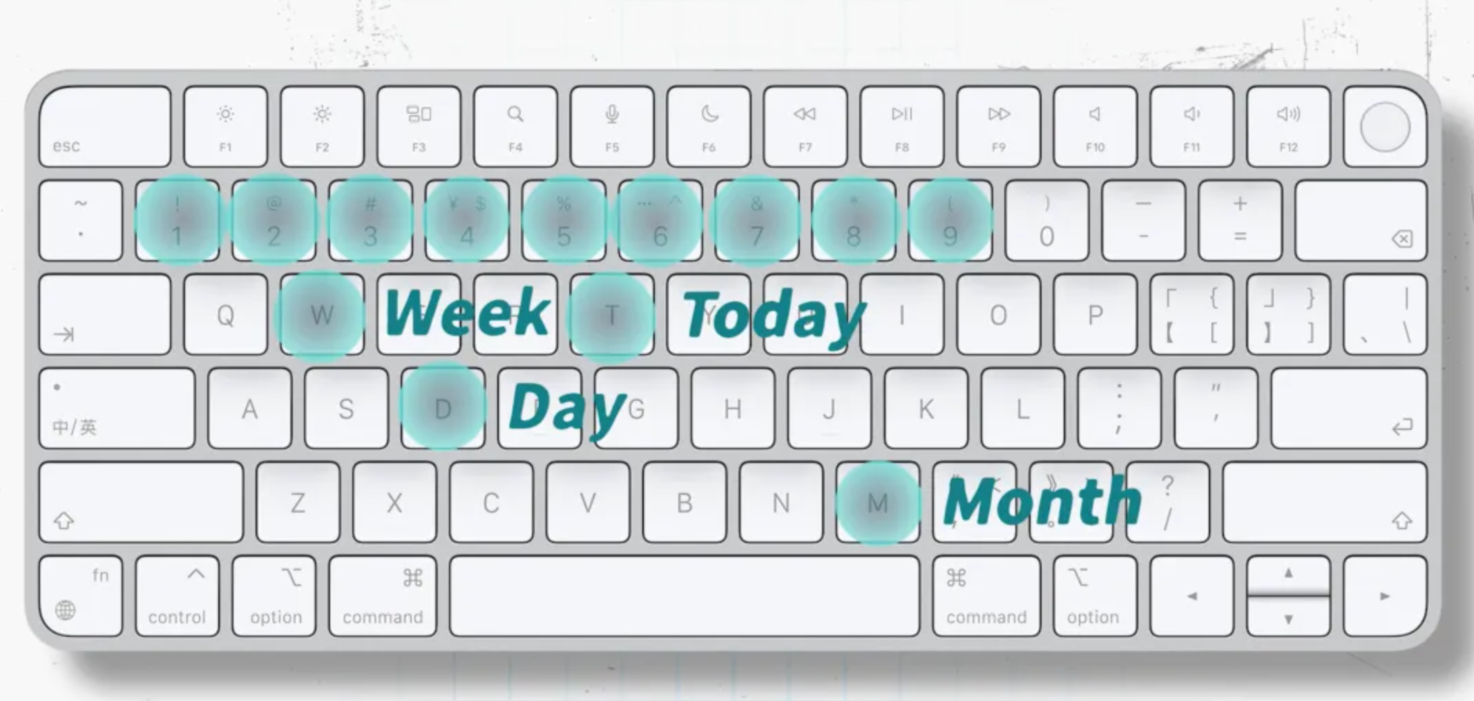 Topbook – 高效生活视频书